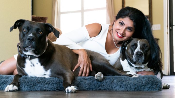 Canine Associates - Queen of Business Law - Kelly BaglaQueen of ...